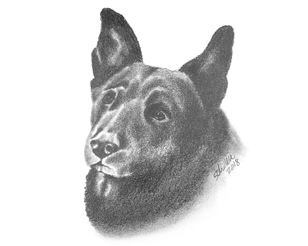Baron - The Pet Sketcher