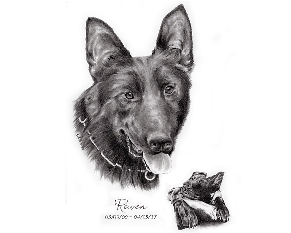 K9 Raven - The Pet Sketcher