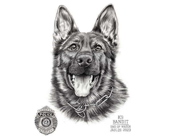 K9 Bandit - The Pet Sketcher